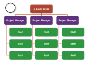 3.1: Organizational Structures – Project Management Basics